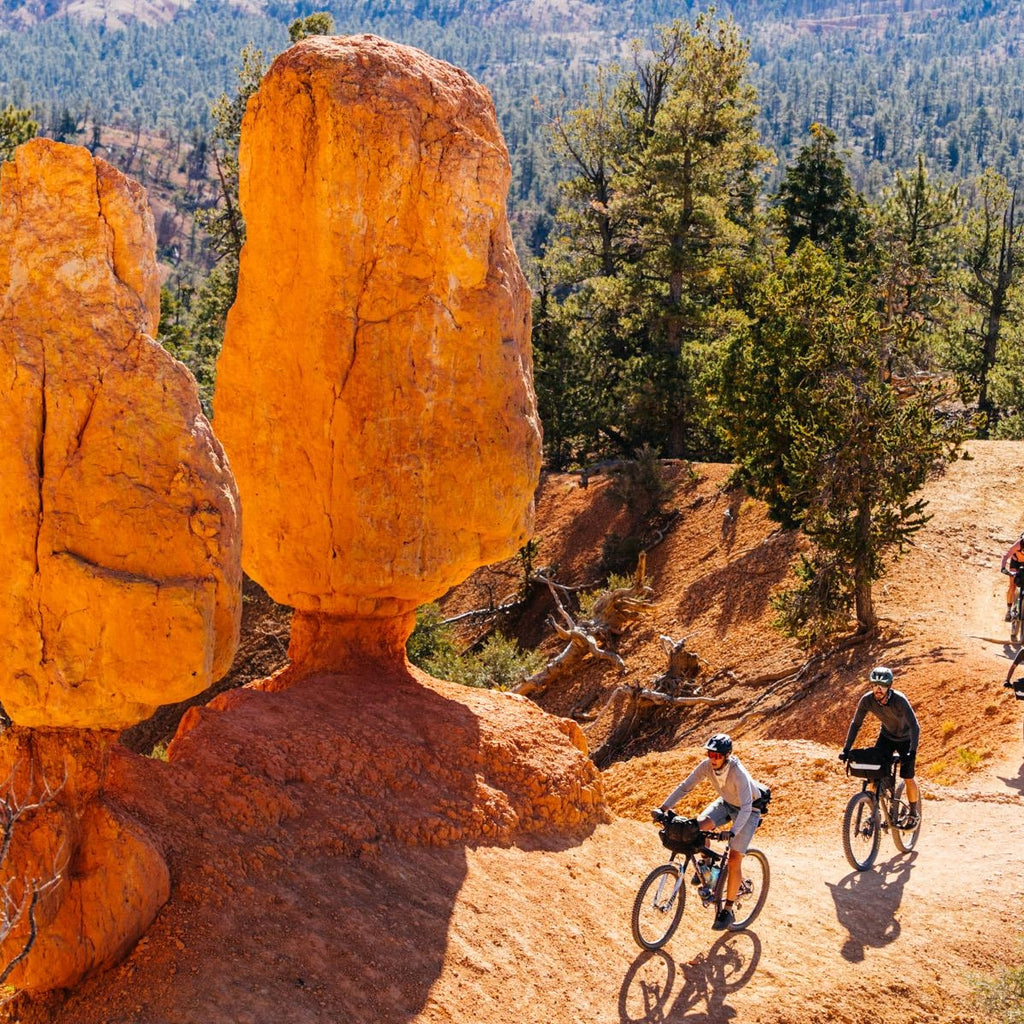 The Best Bike Rides of 2022 | The Pro's Closet