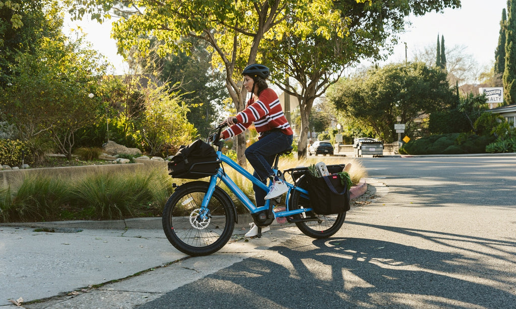 The Best Commuter E-bikes: Buyer's Guide & Our Top-5 Picks – The Pro's ...