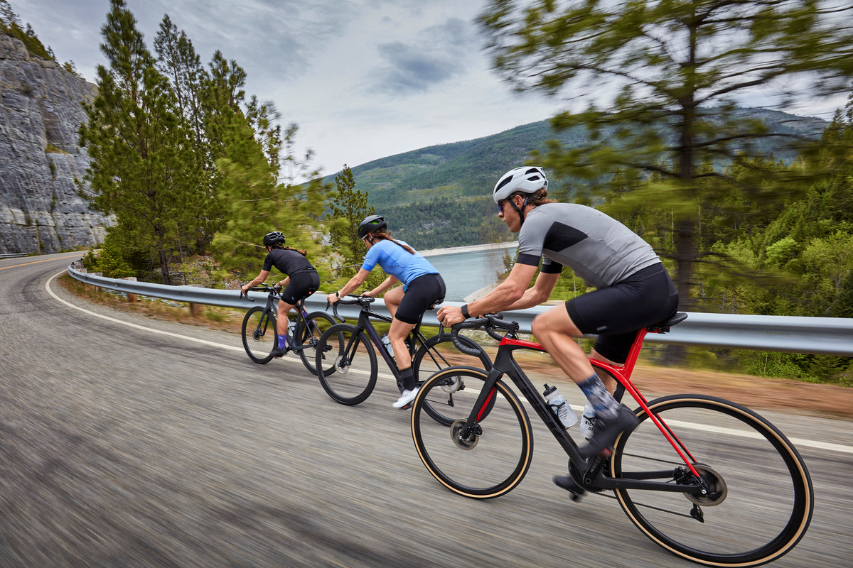 Trek Domane Size Chart - Weight, Specs, Prices & More | TPC - The Pro's ...