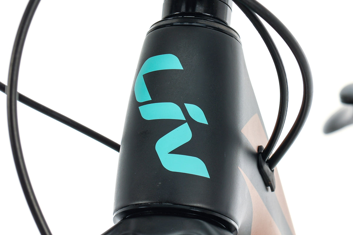 Liv Pique Advanced 1 Women's Mountain Bike - 2017, X-Small | Weight ...