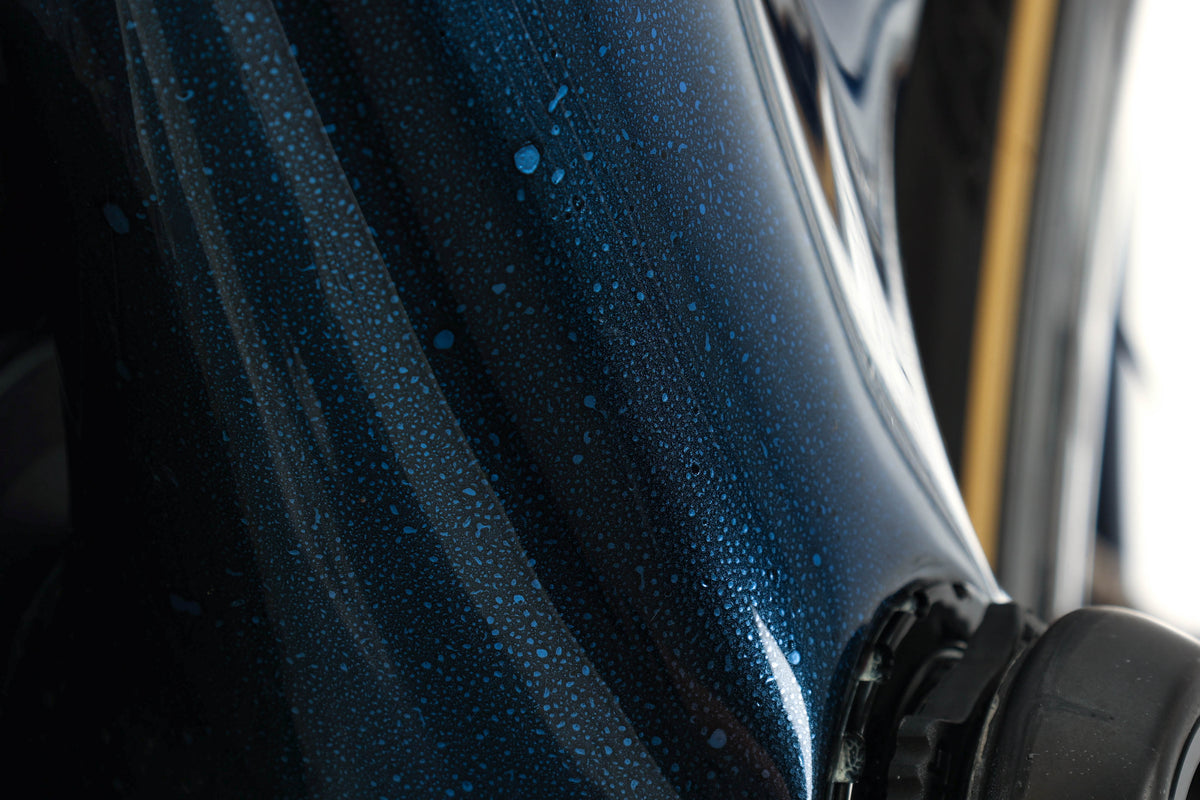 Trek Madone SLR Project One Ultimate Road Bike - 2021, 56cm | Weight ...