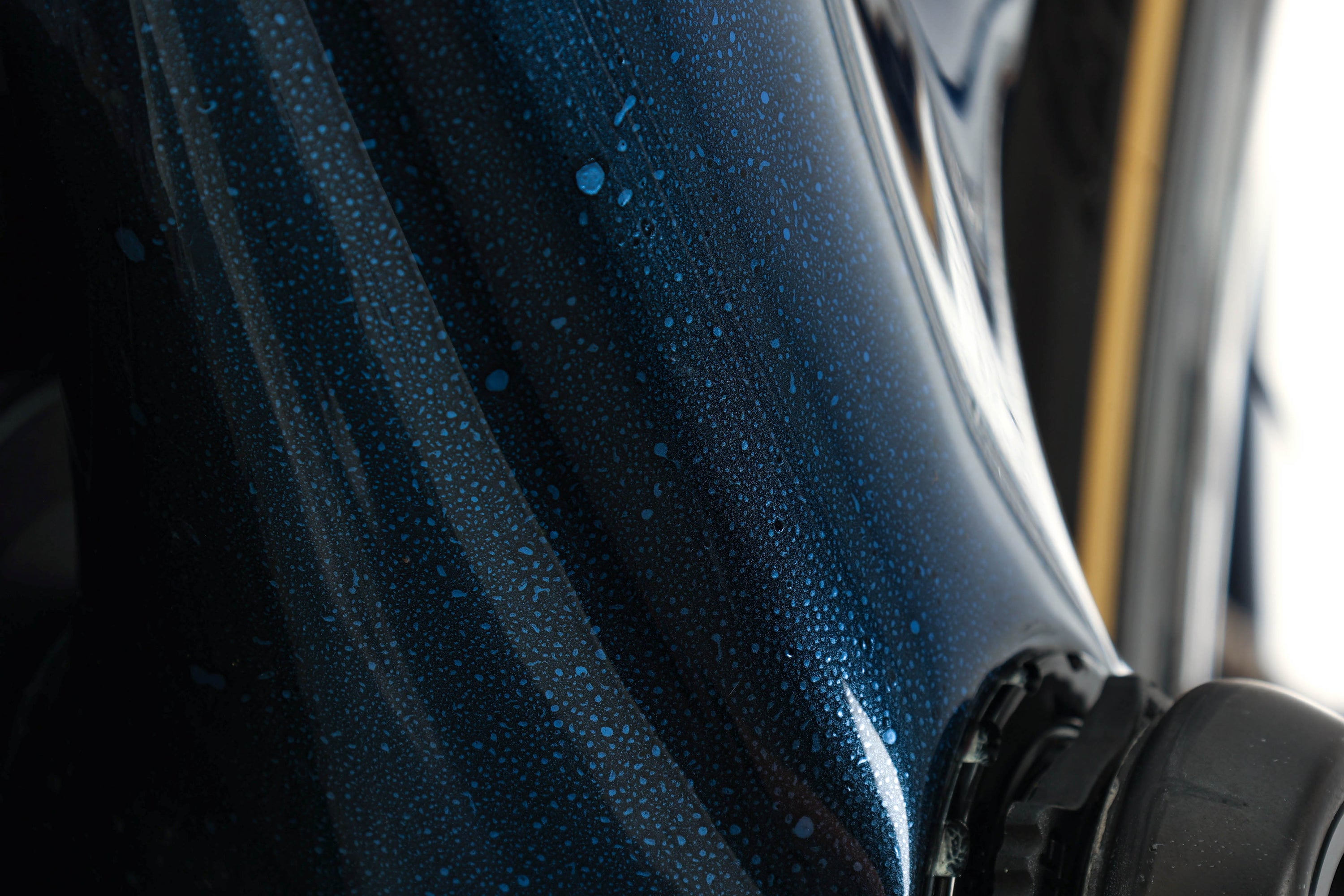 Trek Madone SLR Project One Ultimate Road Bike - 2021, 56cm | Weight ...