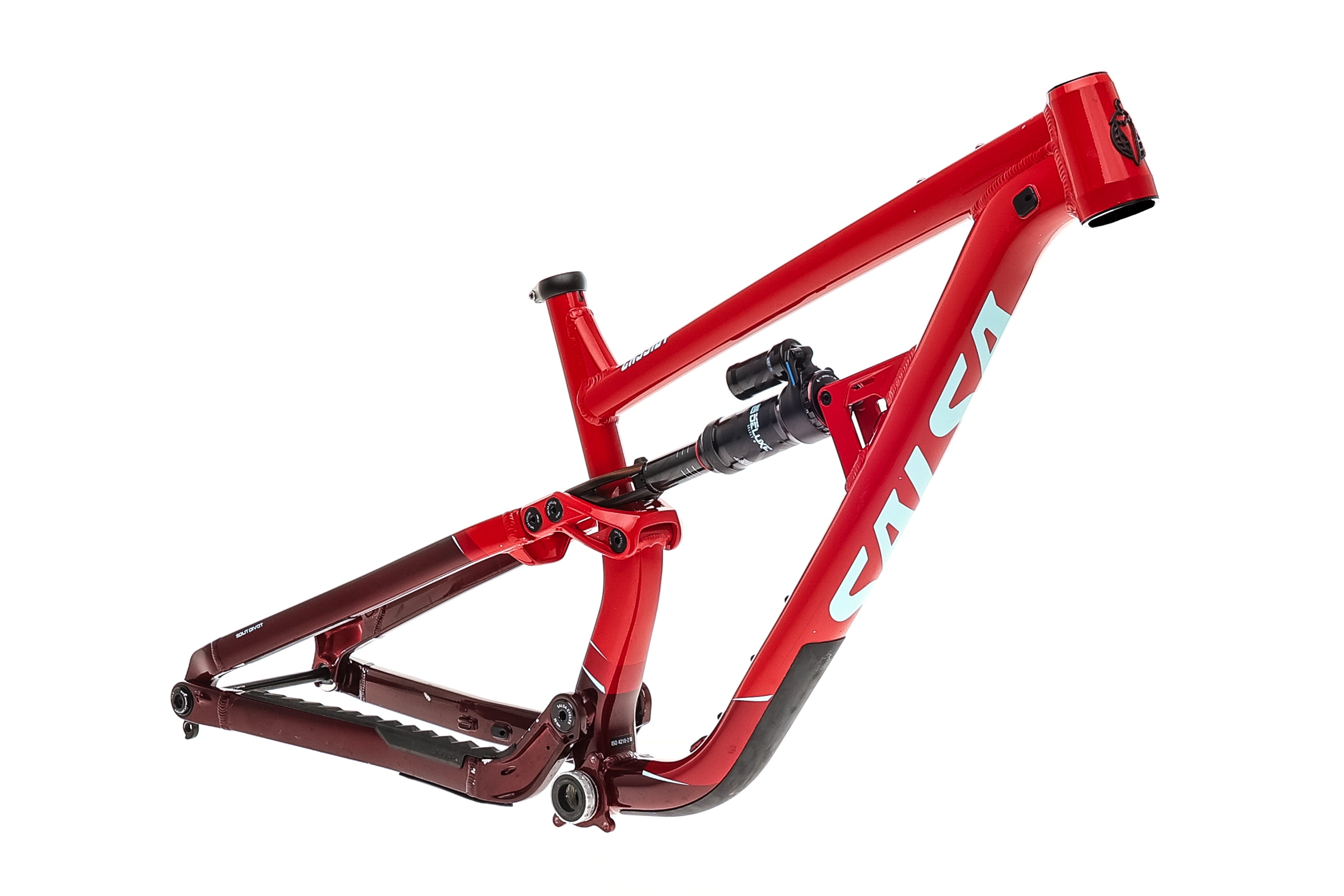 Salsa Cassidy Medium Frame - 2021 | The Pro's Closet