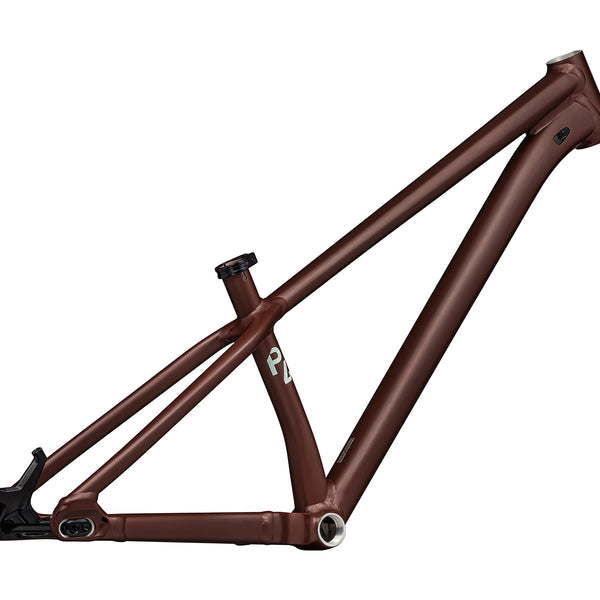 Specialized P.4 Dirt Jumper Frame - 2023 | The Pro's Closet | FMT11889