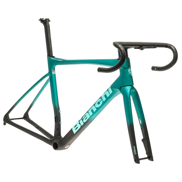 Bianchi Specialissima Pro 55cm Frameset - 2024 | The Pro's Closet ...
