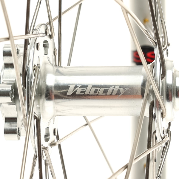 Velocity Blunt SS Aluminum Tubeless 29" Wheelset | The Pro's Closet