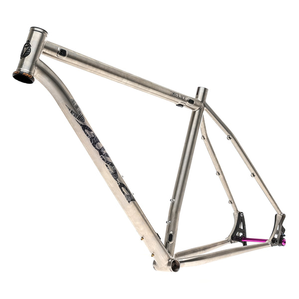 Salsa Timberjack Ti X-Large Frameset - 2017 | The Pro's Closet