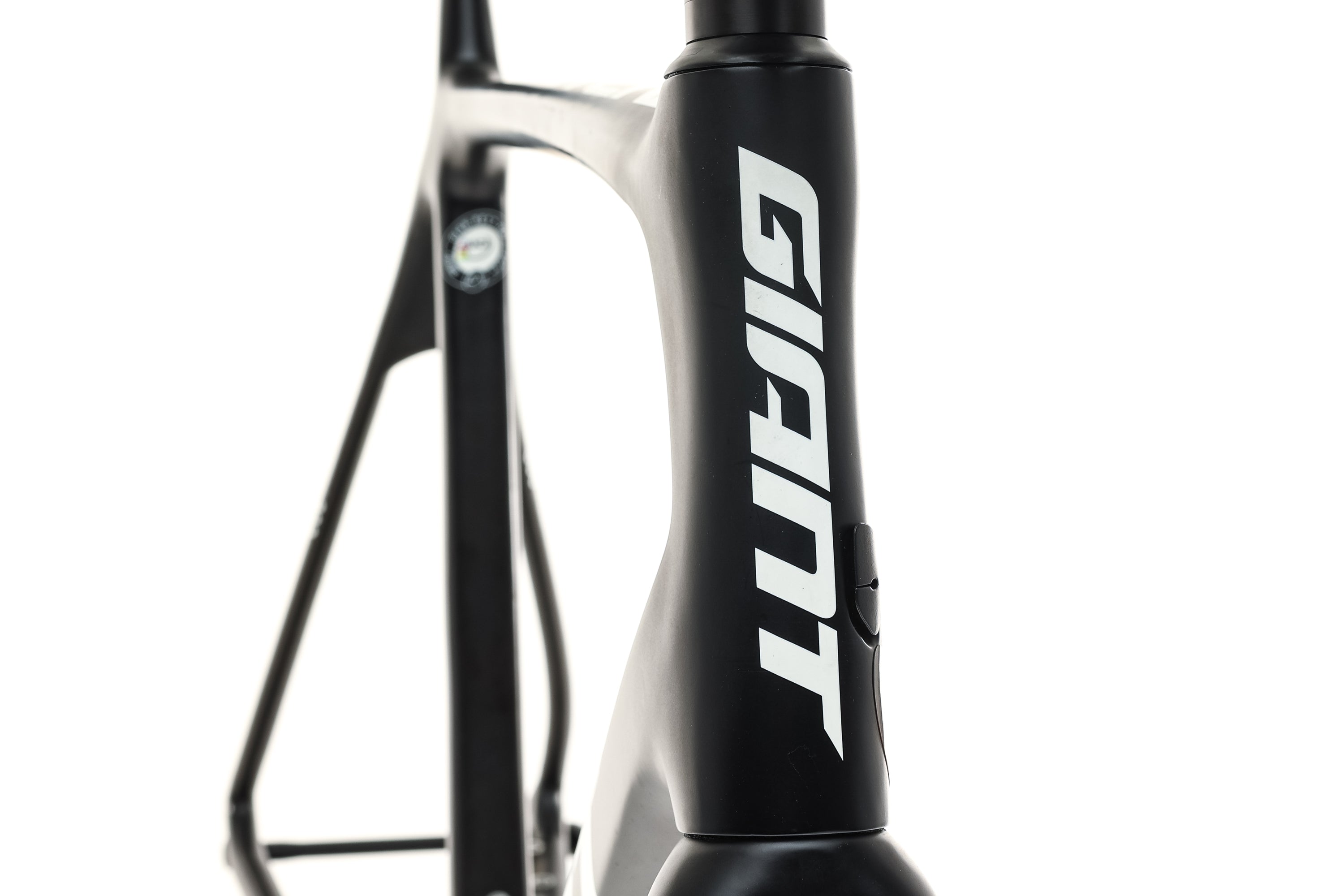 Giant TCR Advanced SL Team Disc Large Frameset - 2020 | The Pro's ...