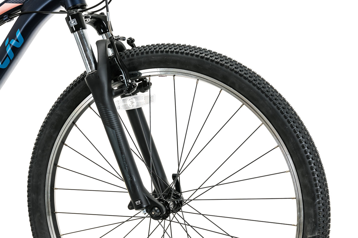 Liv Bliss Mountain Bike - 2021, Small | Weight, Price, Specs, Geometry, Size Guide | The Pro's ...