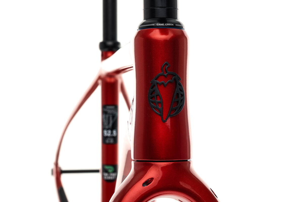 Salsa Warbird Carbon Disc 52.5cm Frameset - 2021 | The Pro's Closet