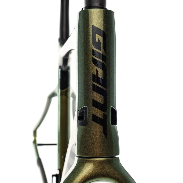 Giant Revolt Advanced Large Frameset - 2021 | The Pro's Closet