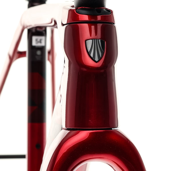 Trek Checkpoint SL Disc 54cm Frameset - 2022 | The Pro's Closet