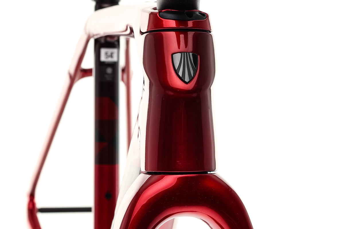 Trek Checkpoint SL Disc 54cm Frameset - 2022 | The Pro's Closet