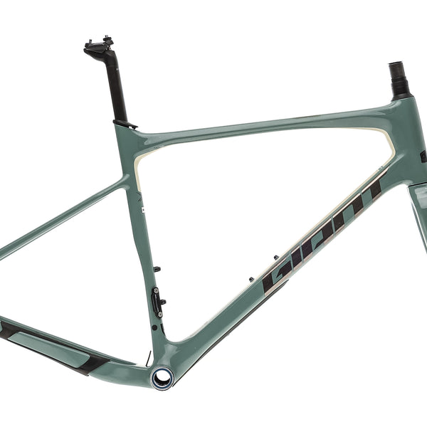 Giant Revolt Advanced 0 Med/Large Frameset - 202 | The Pro's Closet