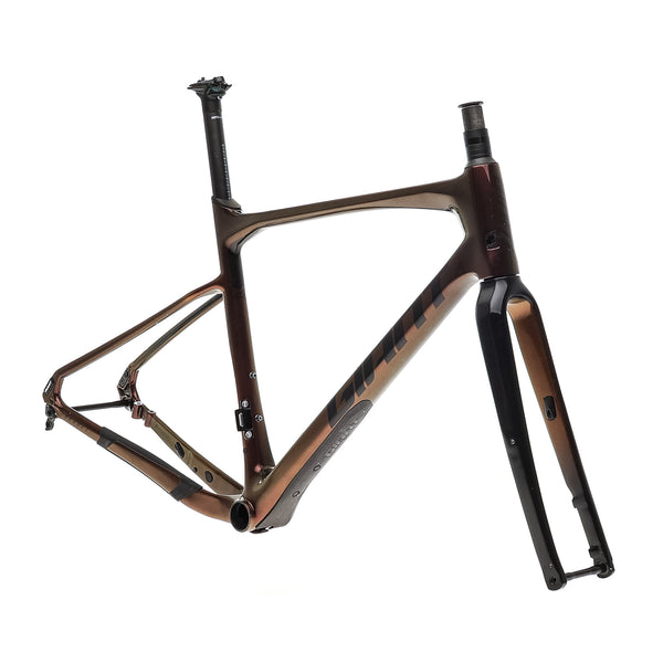 Giant Revolt Advanced Pro Medium Frameset - 2021 | The Pro's Closet
