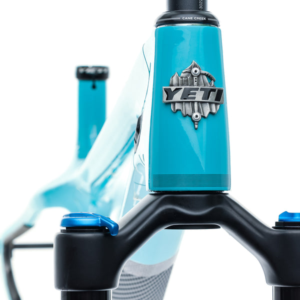 Yeti ARC TURQ Large Frameset - 2021 | The Pro's Closet