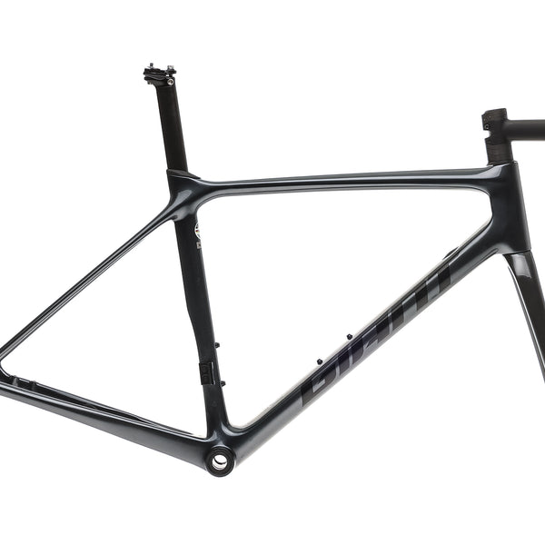 Giant TCR Advanced Pro Disc Medium Frameset - 2022 | Weight, Price ...